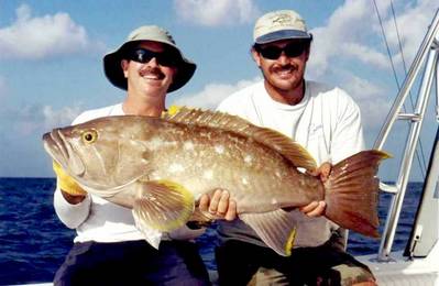 35# Yellow Edge Grouper - CyberAngler Photo Gallery