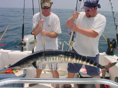 Gulf Stream Fishing w/ Captain Kevin Sneed - CyberAngler Photo Gallery