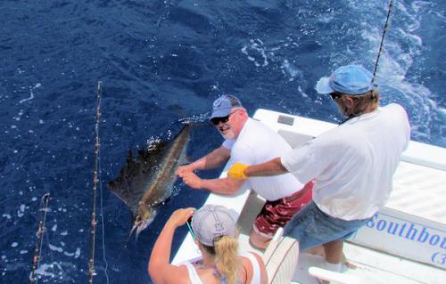 01_Sailfish_by_the_boat_ - CyberAngler Photo Gallery