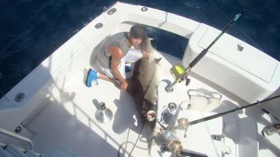 Captain Taco (954) 764-4344 or toll free 2 (877) SEA-4344 tacohookedup ...