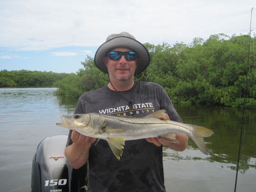 24-inch snook released - CyberAngler Photo Gallery