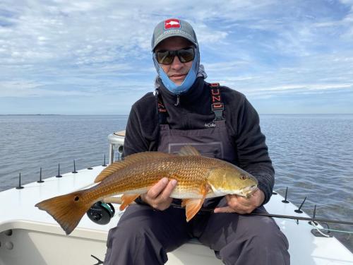 Fly_Fishing_Tailing_Redfish_Shallow_Water - CyberAngler Photo Gallery