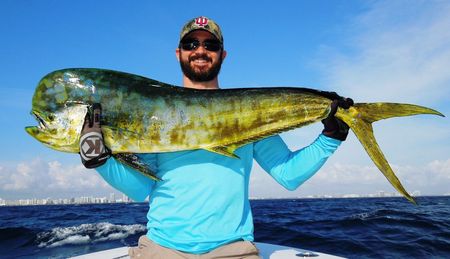 Bull Dolphin - CyberAngler Photo Gallery