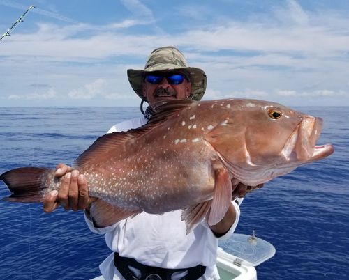 20180509_1515031 - CyberAngler Photo Gallery