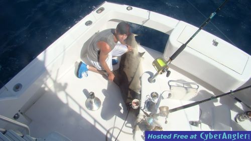 Captain Taco (954) 764-4344 or toll free 2 (877) SEA-4344 tacohookedup ...